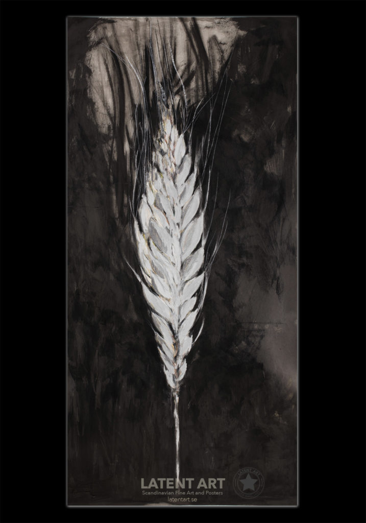 Silverax poster – Latent Art